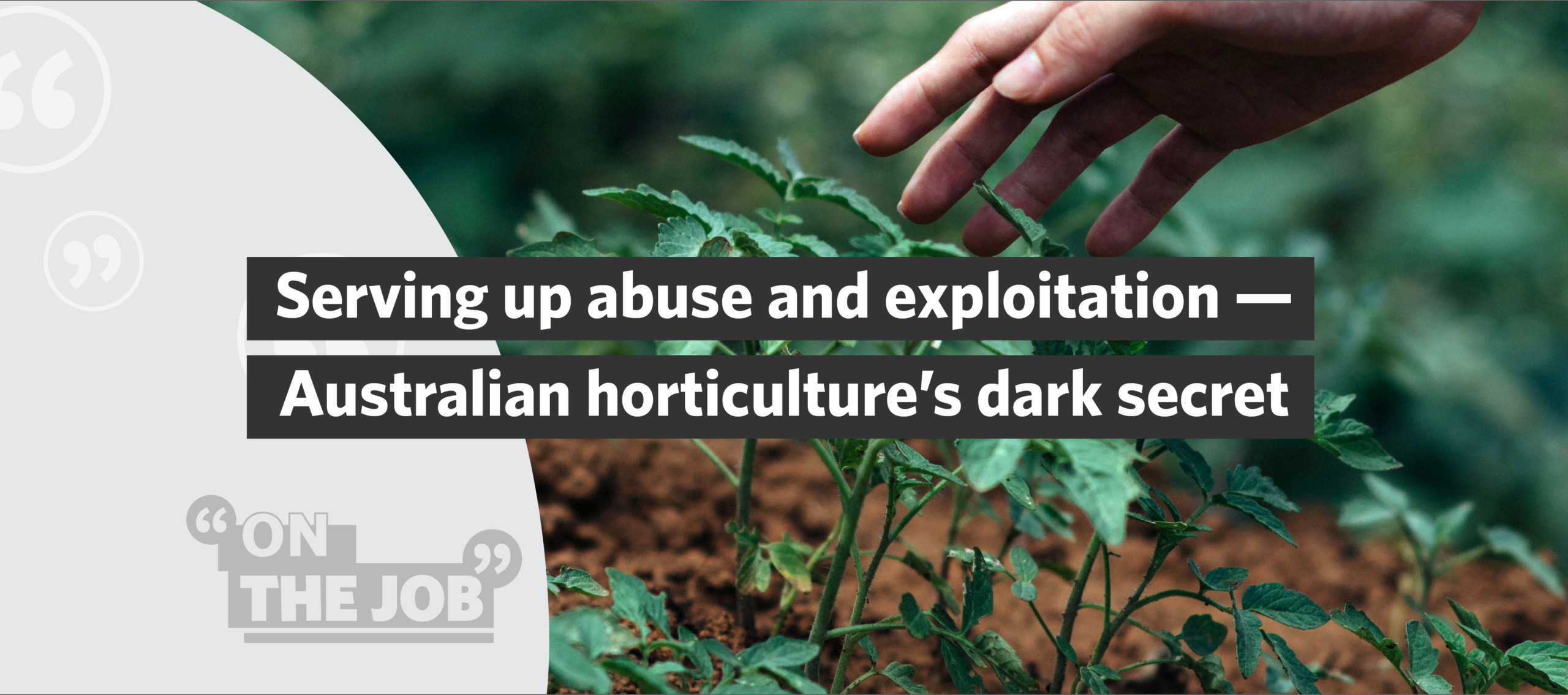 Serving up abuse and exploitation – Australian horticulture’s dark ...
