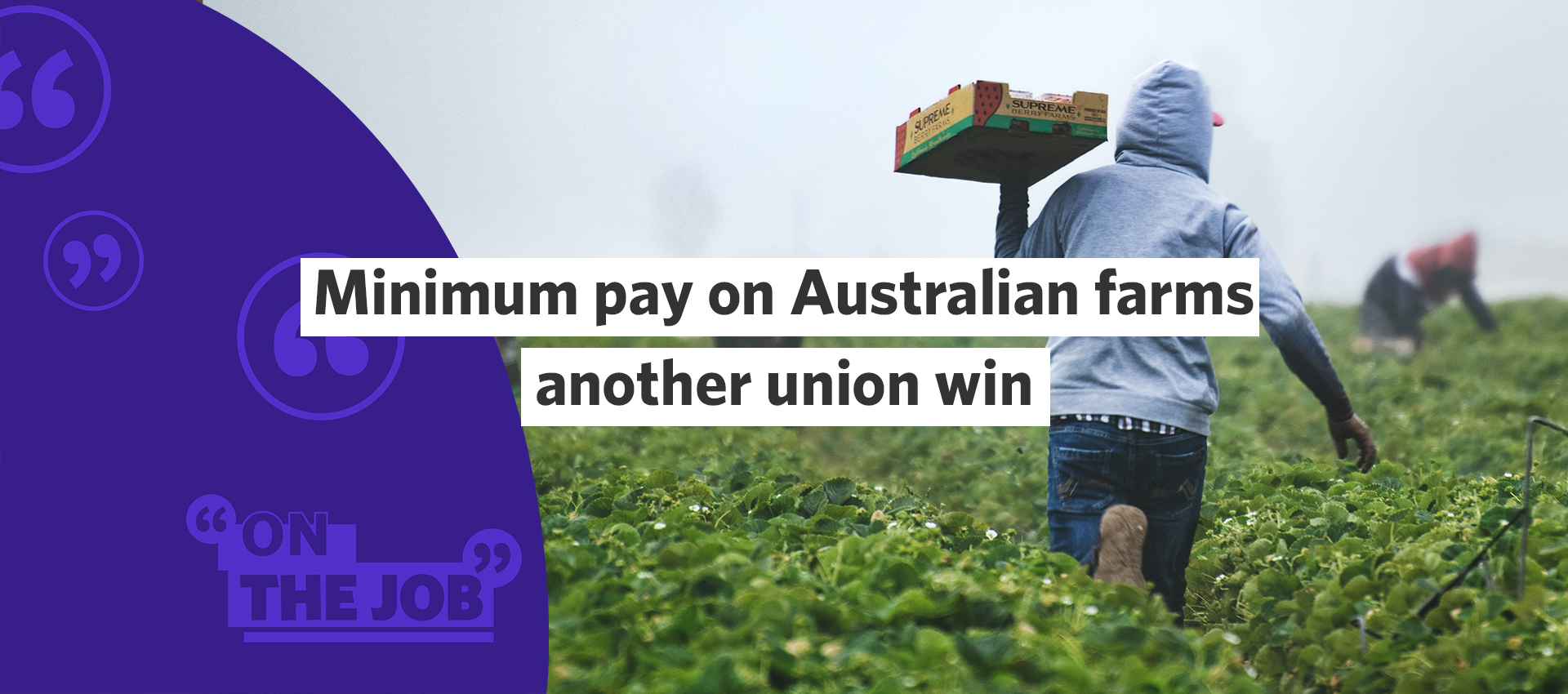 Minimum pay on Australian farms another union win - Australian Unions